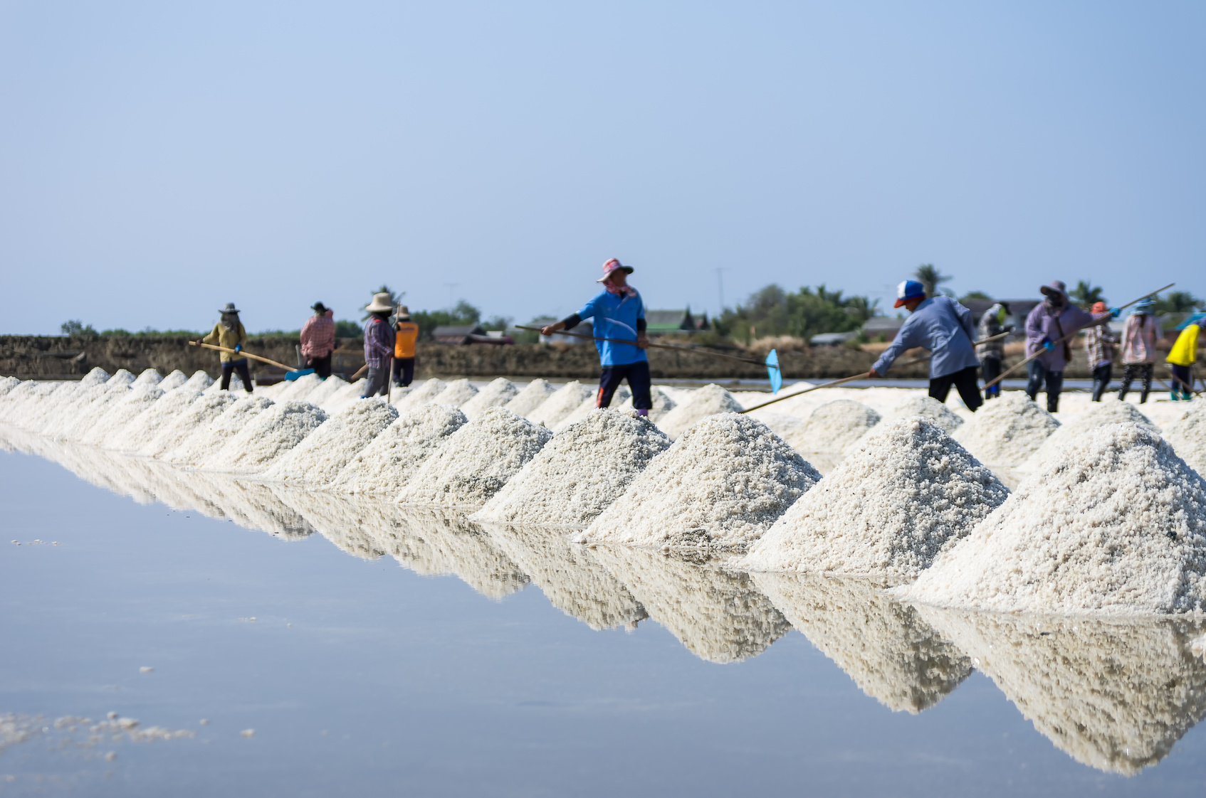 Sea Salt Or Pink Salt Isn't Better Than Table Salt- Both Are Bad For You!