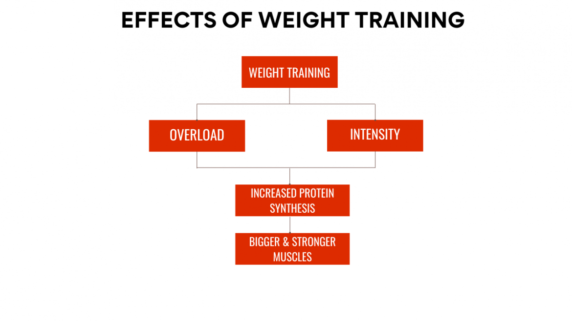 High Reps vs Low Reps For Fat Loss And Muscle Definition
