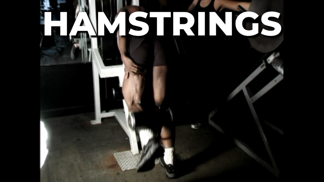 Best Workout Split for Natural Bodybuilders for Building Muscle