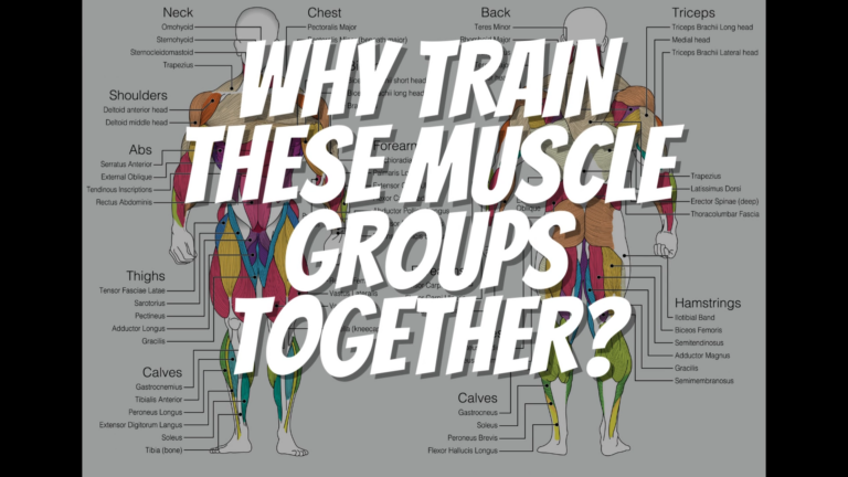 Best Workout Split for Natural Bodybuilders for Building Muscle