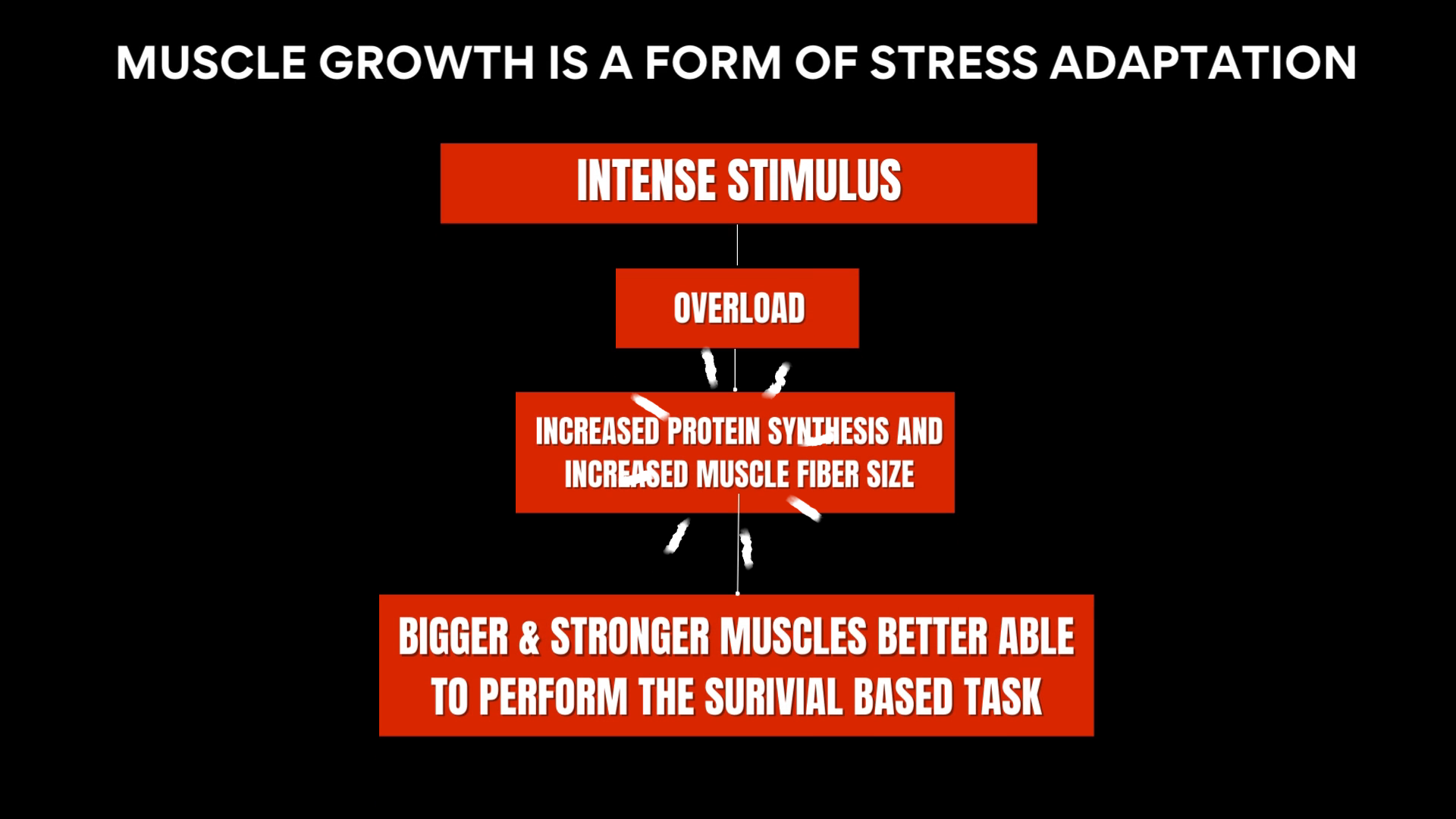 Break Through Plateaus with High Intensity Training