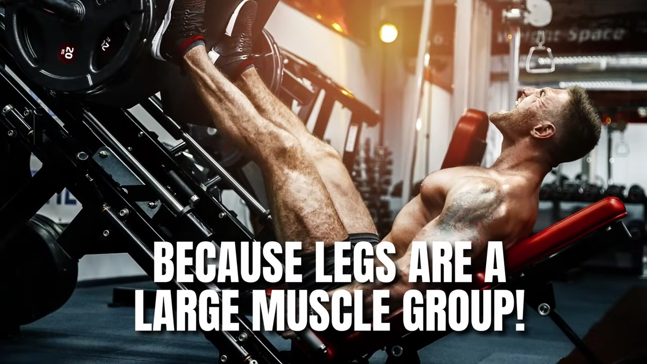 Build Massive Legs with High Intensity Training